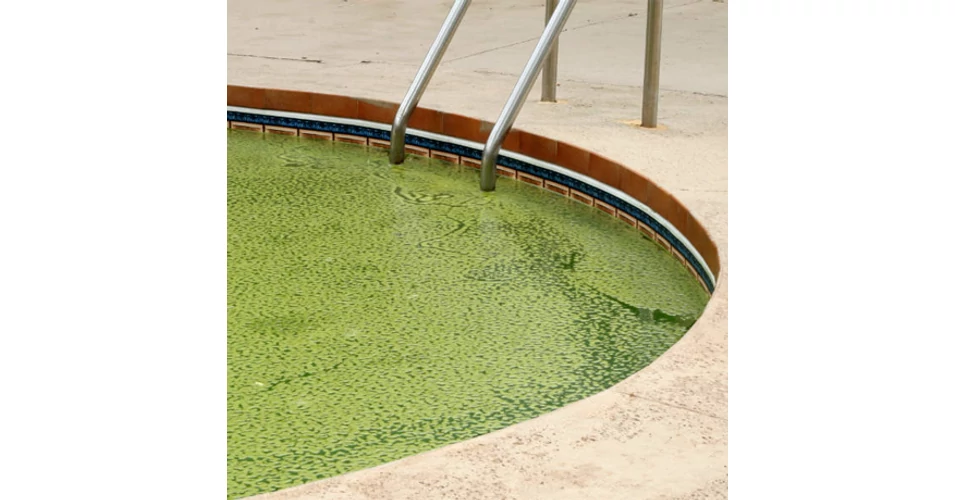 PoolDoctor medence mentés